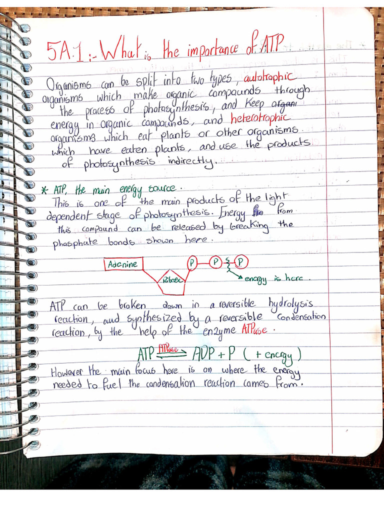 unit 4 biology first topic | PDF