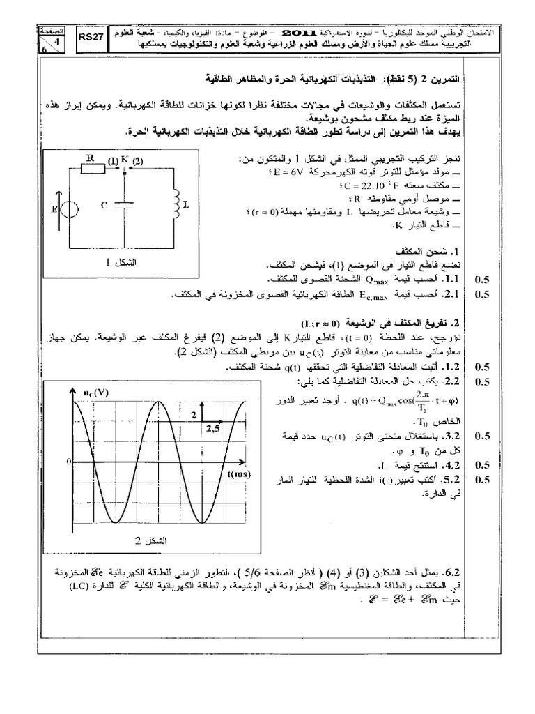 SVT Bac | PDF