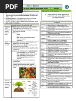 Edible Parts of Plants Explained | PDF | Fruit | Vegetables