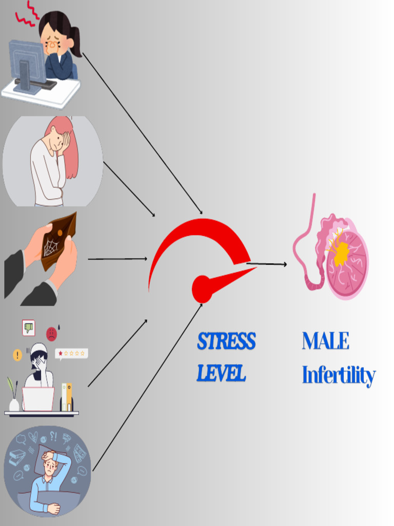 Graphical Abstract Stress And Infertility Pdf Pdf