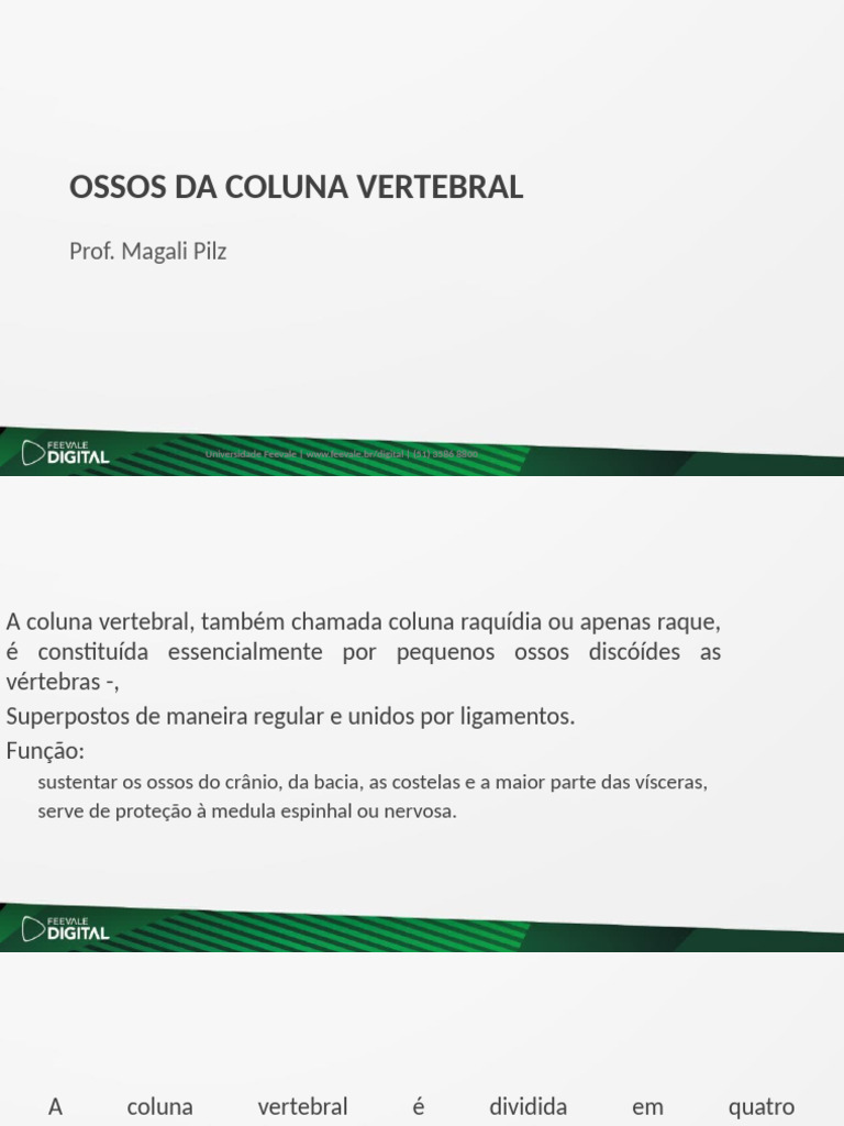 Estrutura e Função dos Cornos Sacrais | PDF | Coluna vertebral | Vértebra