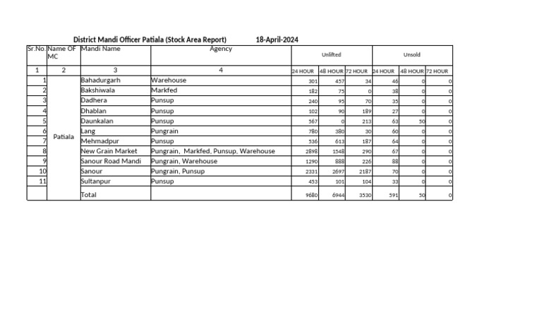 Patiala Stock Area Report Summary | PDF