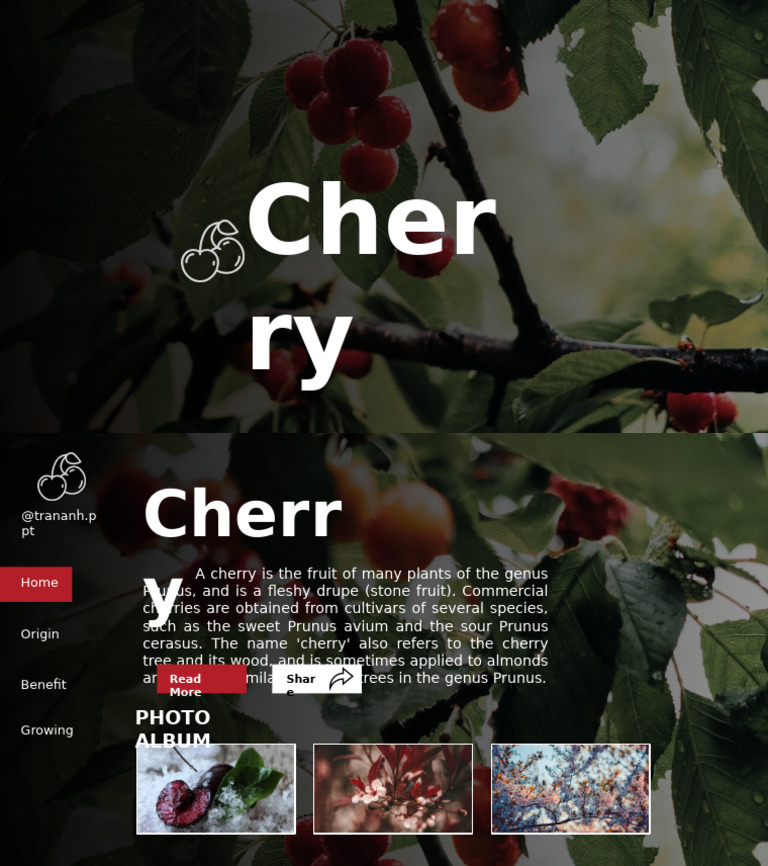Cherry | PDF