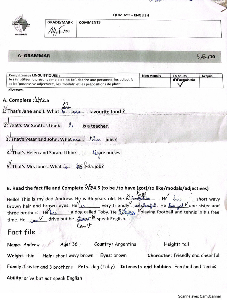 Grammar Test | PDF