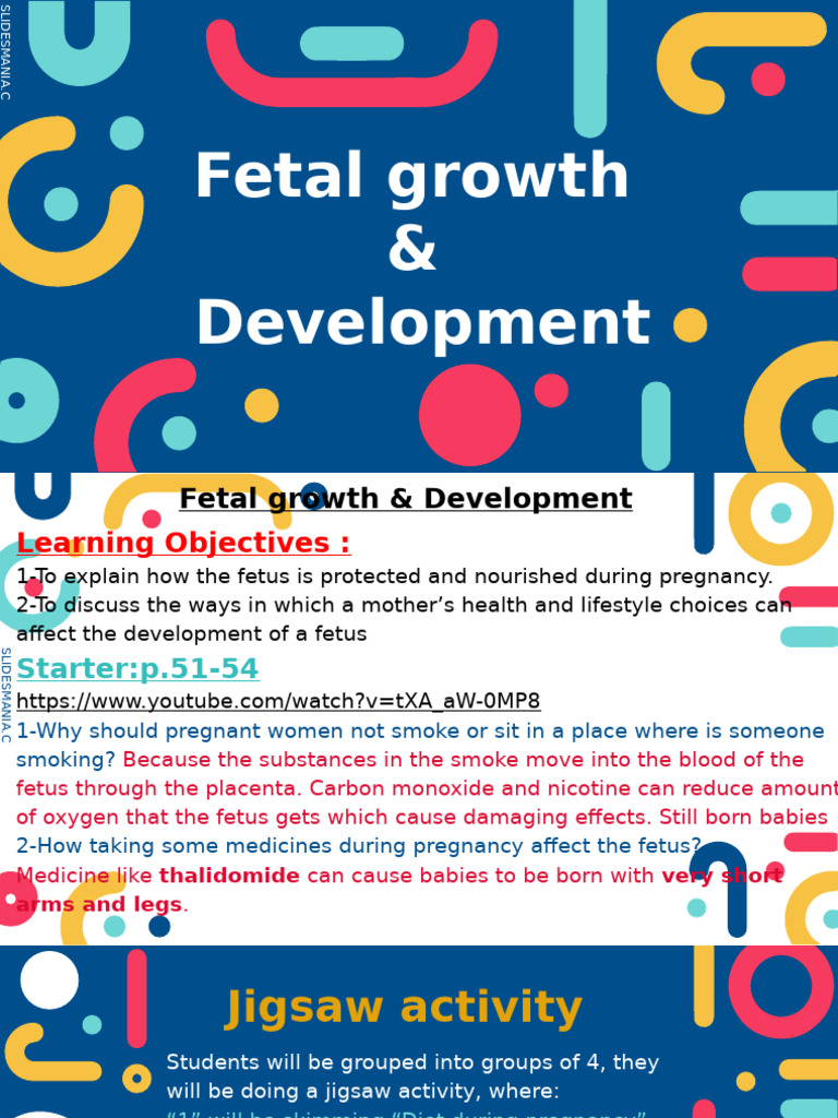 Fetal Development During Pregnancy | PDF | Pregnancy | Fetus