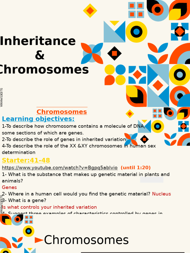 Inheritance, Genes & Chromosomes | PDF | Chromosome | Sex