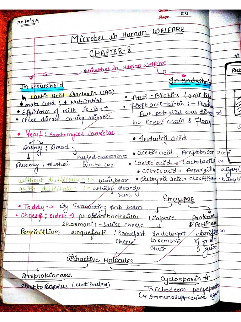 Image to PDF 20250320 16.22.10 | PDF