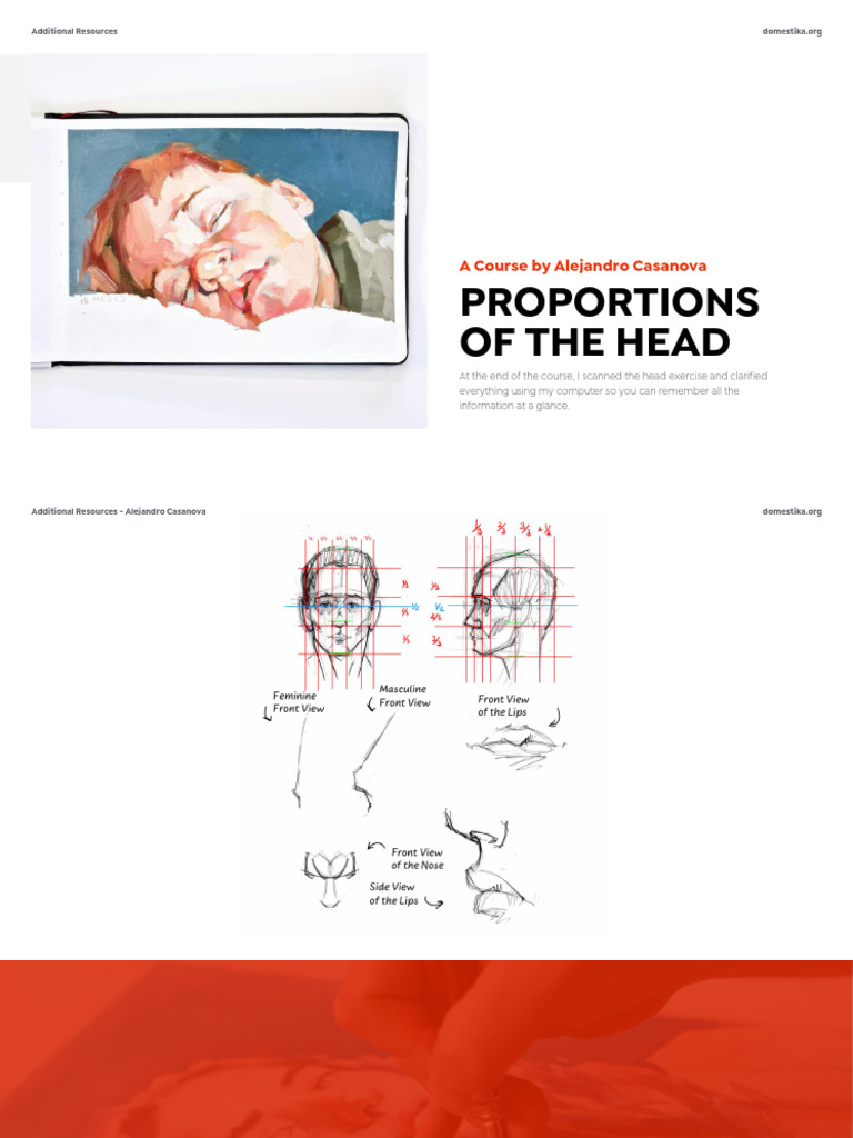 Head Proportions Course Overview | PDF