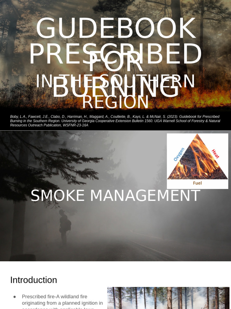 Smoke Management Presentation | PDF | Particulates | Wound