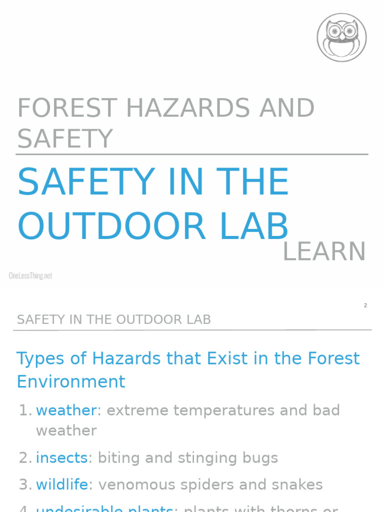 Forest Safety: Hazards & First Aid Guide | PDF | Spider | Insects