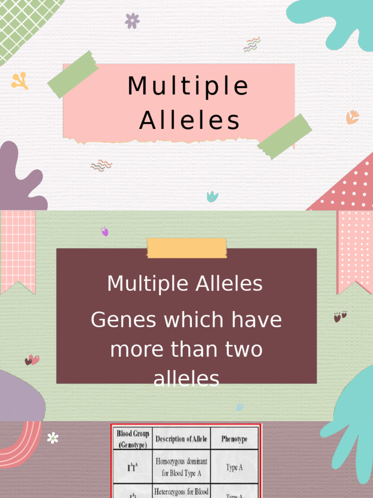 Multiple Alleles | PDF