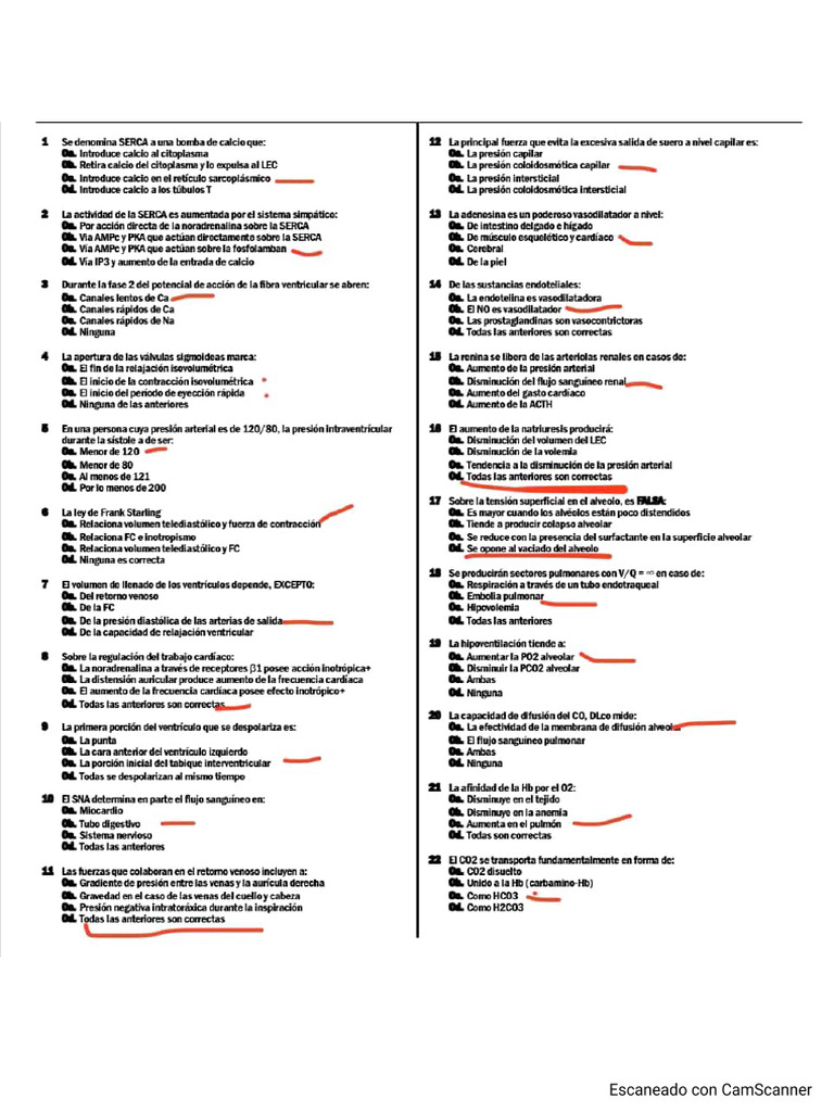 Fisio II Todo Junto | PDF