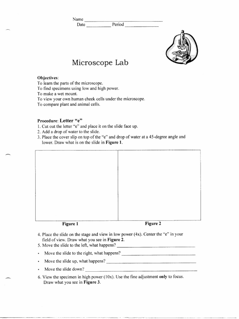 Microscope Lab | PDF