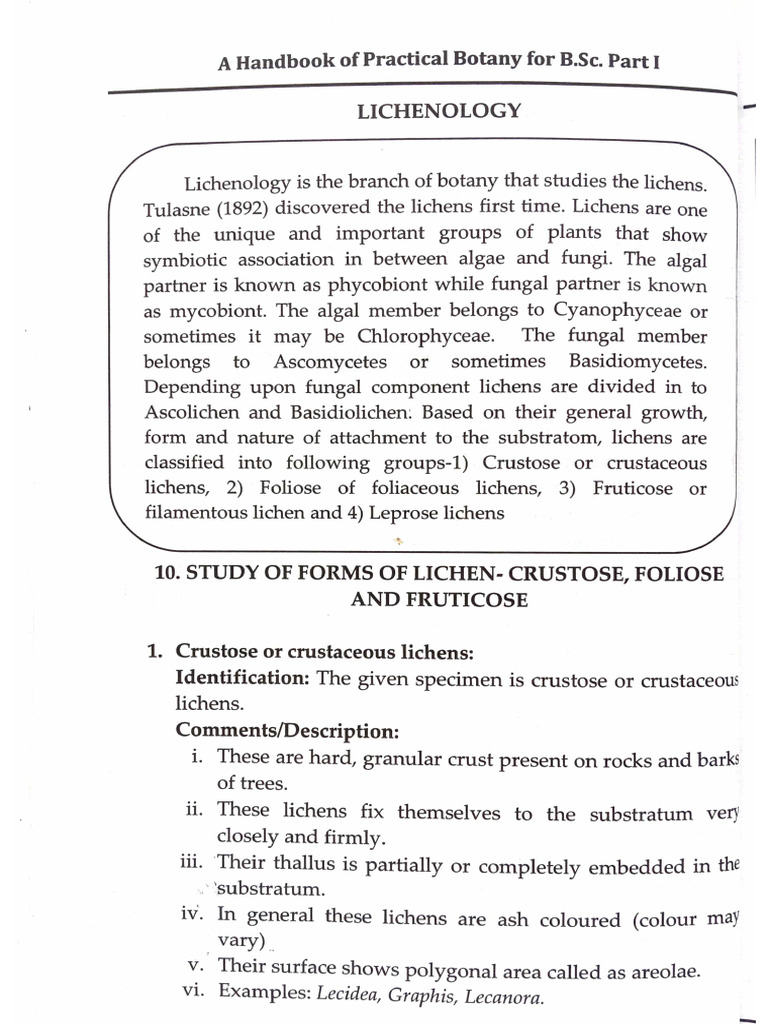 Study of Types of Lichens | PDF | Mycology | Fungus