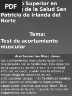 Modelo de Hill en contracción muscular | PDF | Músculo esquelético | Actina