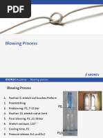 Krones Celerol Lubricant Guide | PDF | Lubrication | Oils