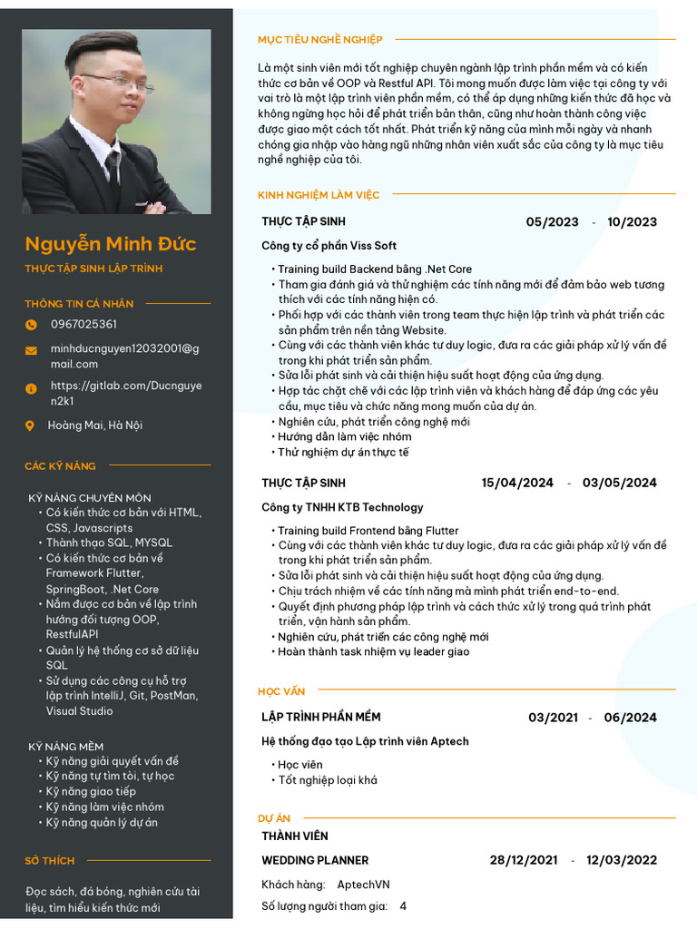 Nguyen Minh Duc TopCV VN | PDF