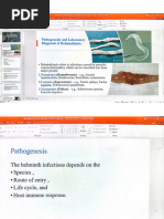 Exhumation 2 Fm | PDF