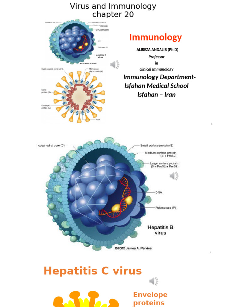 Immuno Virus Med22 1 | PDF | Virus | Immune System