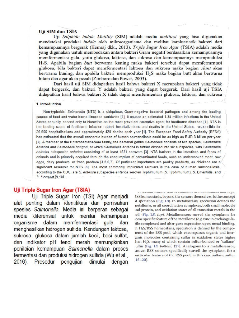 Liter Uji Biokimia | PDF
