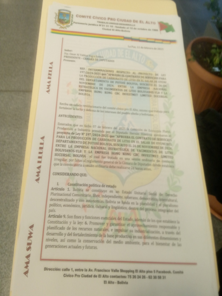 Comité Civico Pro Ciudad de El Alto | PDF