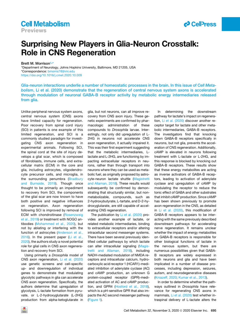 Surprising New Players in Glia Neuron Crosstalk R | PDF | Nervous ...