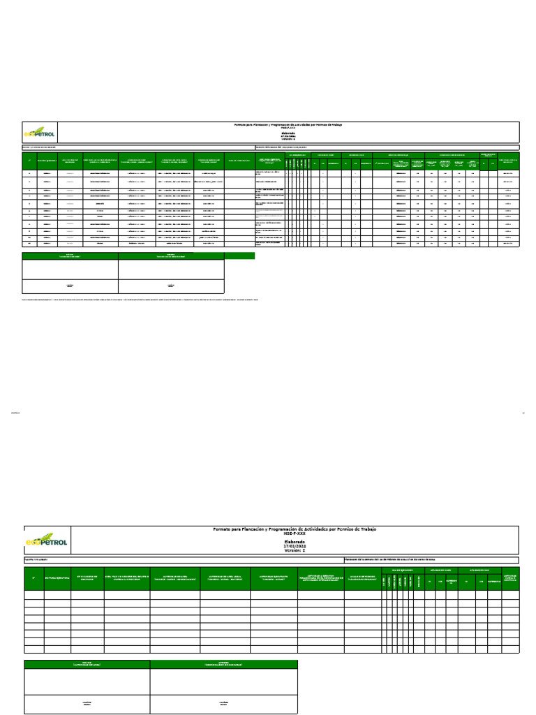 Formato Pyp - Sem 31 Cde S.A | PDF