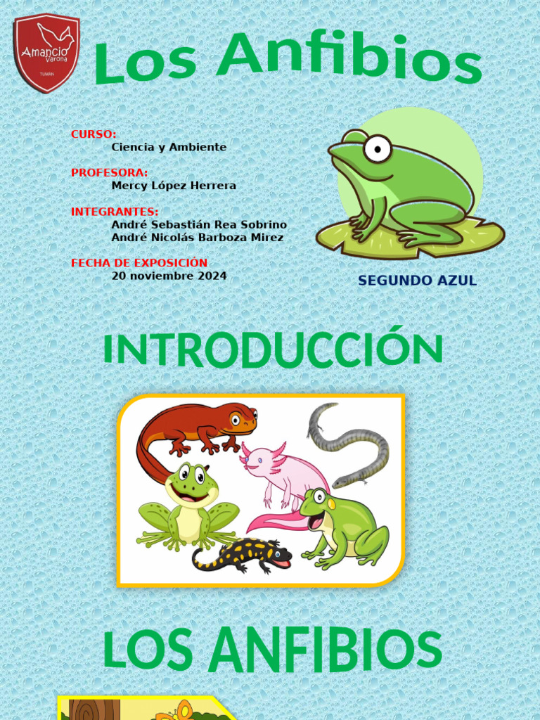ANFIBIOS | PDF