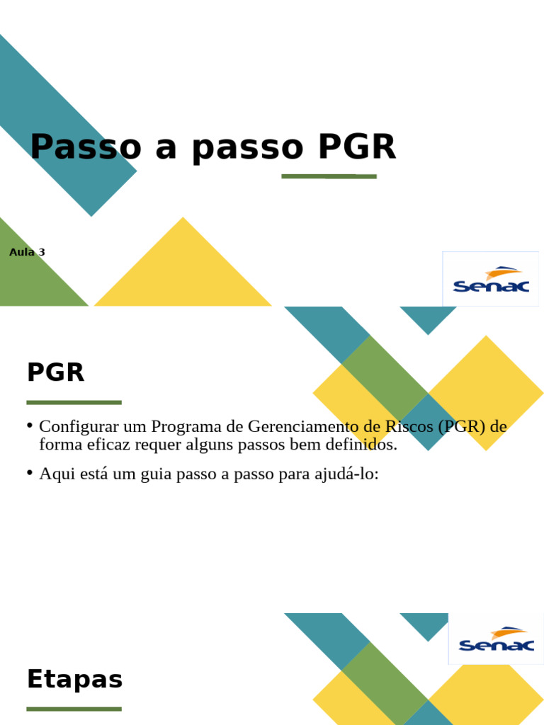 Passo A Passo PGR - Atualizado | PDF