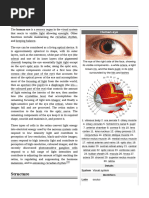 Grade 12 Life Science The Eye | PDF | Eye | Myopia