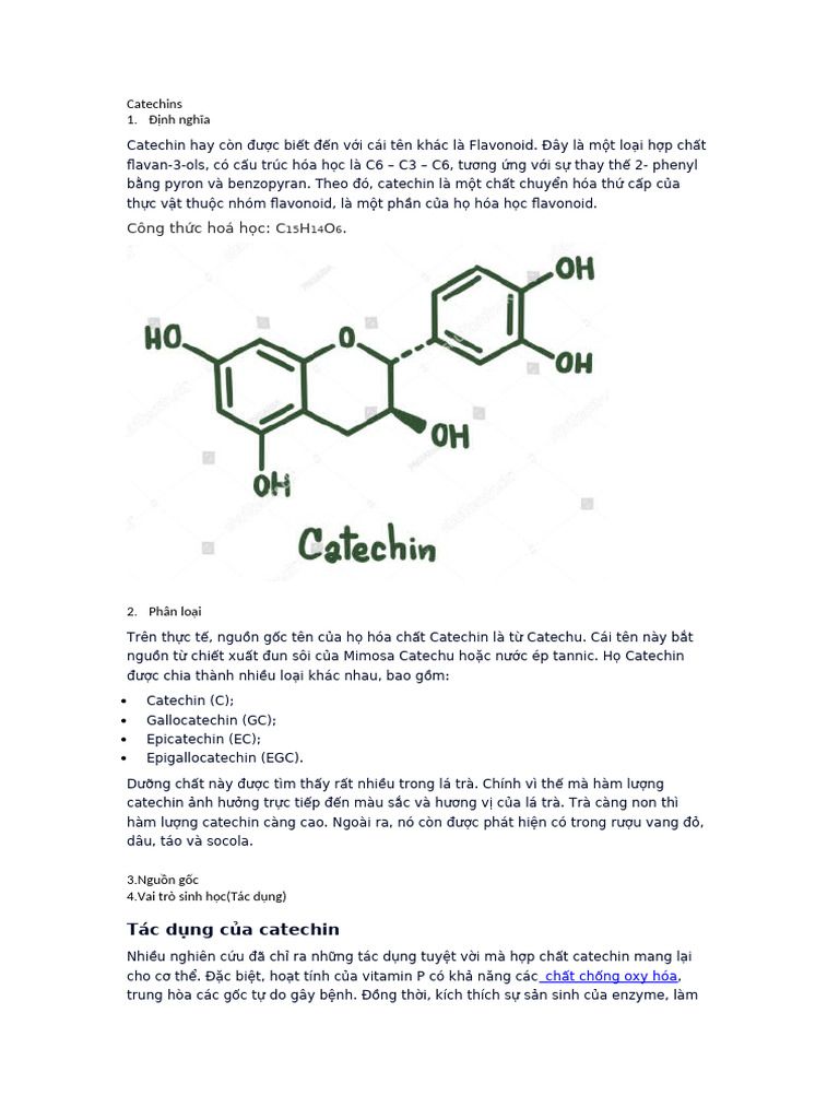 Catechins | PDF