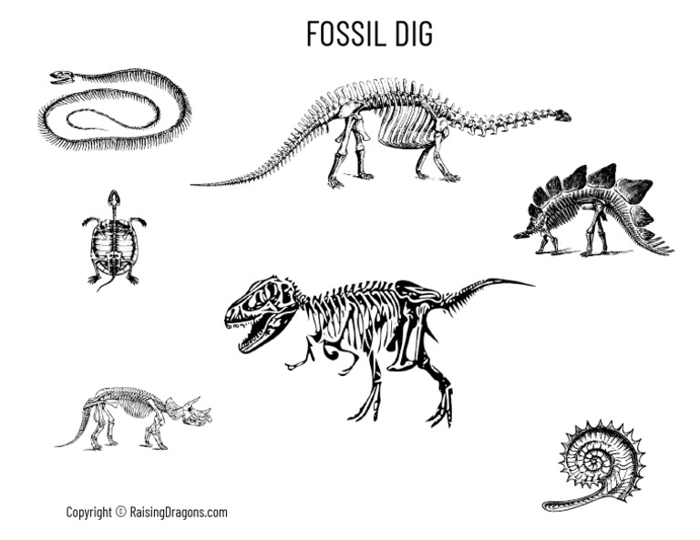 Fossil Dig Printable | PDF