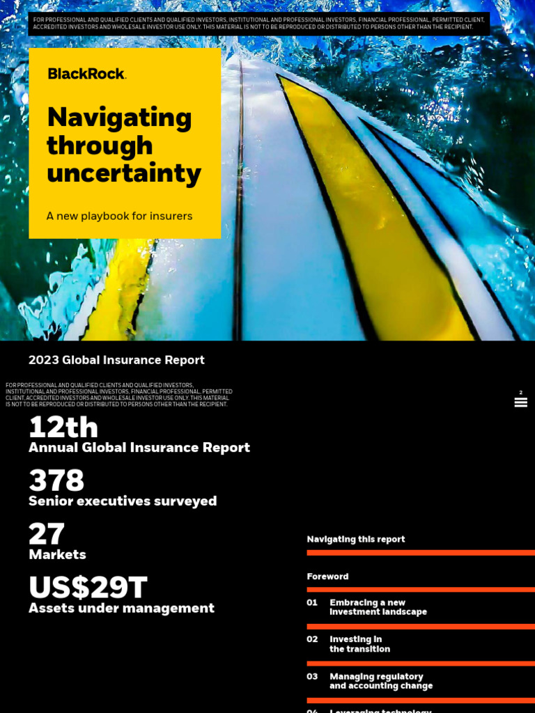 Blackrock Global Insurance Report 2023 | PDF | Inflation | Macroeconomics