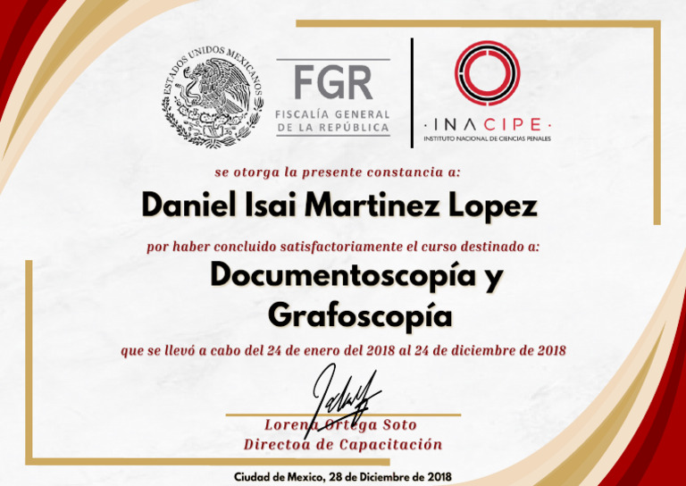Cef Documentos | PDF