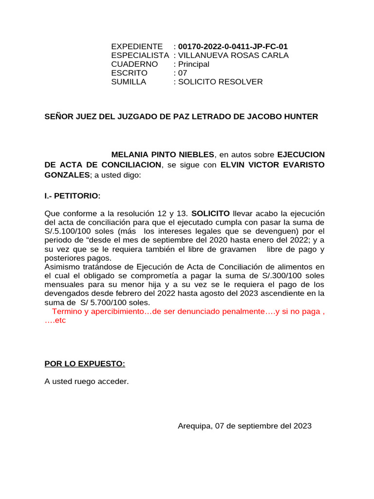 Solicito Resolver 2 | PDF