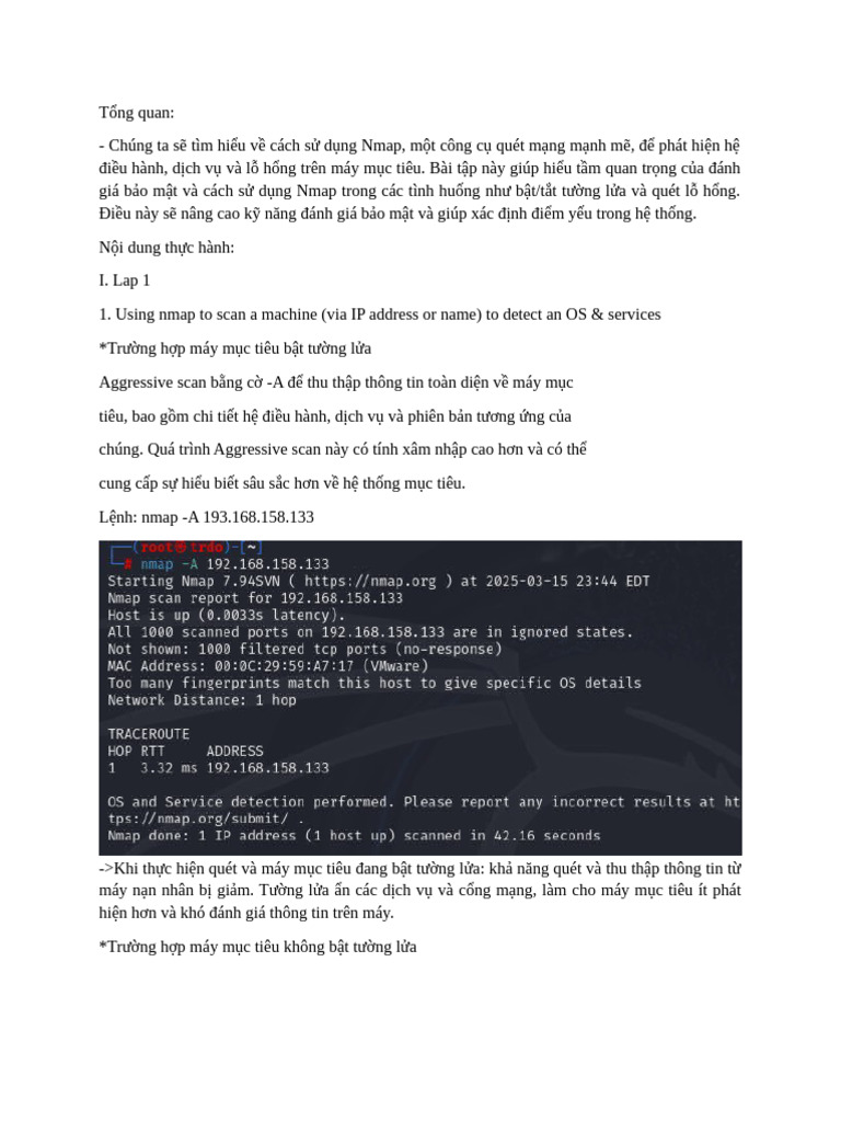 Báo cáo ATTT | PDF