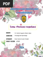 Modelo Tyleriano de Currículo y Evaluación | PDF | Plan de estudios ...