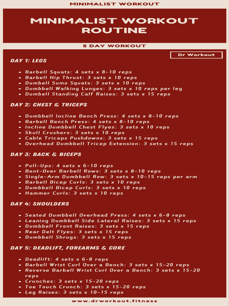 5 Day Minimalist Workout Routine - DR Workout | PDF