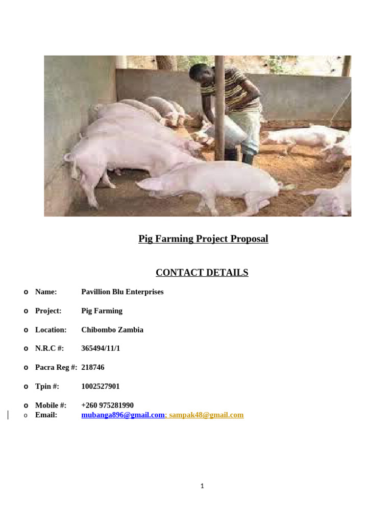 1 Annie Pavillion Blu Enteprise's Pig Farming Business Plan | PDF | Pig ...