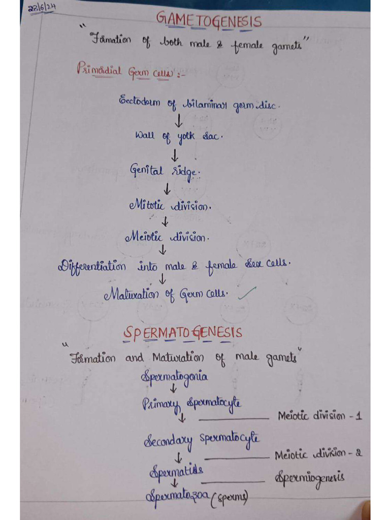 Gametogenesis | PDF