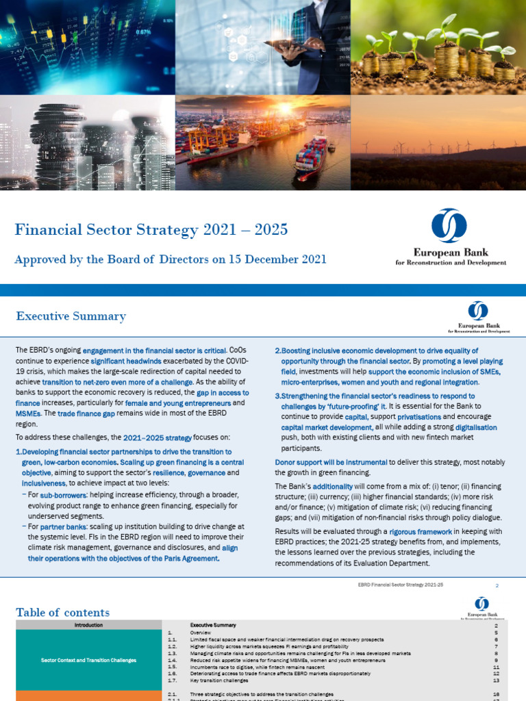 Financial Sector Strategy | PDF | Small And Medium Sized Enterprises ...