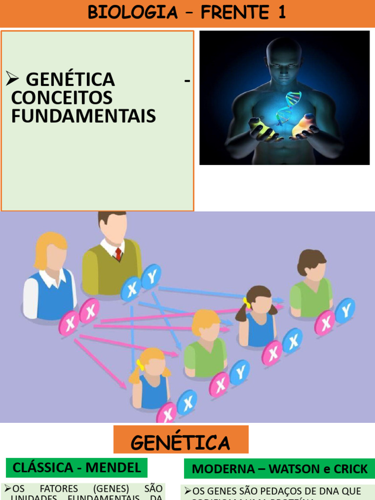 Genética - Conceitos Básicos | PDF | Alelo | Gene