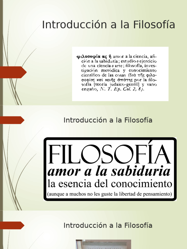 Filosofía: Sabiduría y Comprensión | PDF