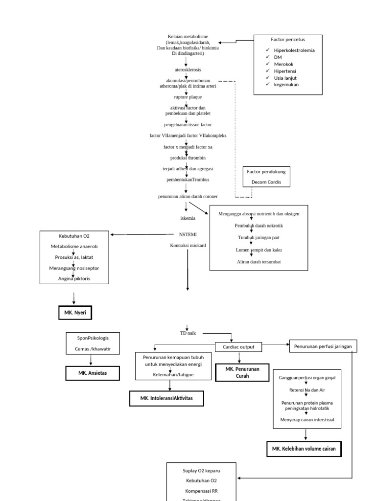 Pathway Nstemi | PDF