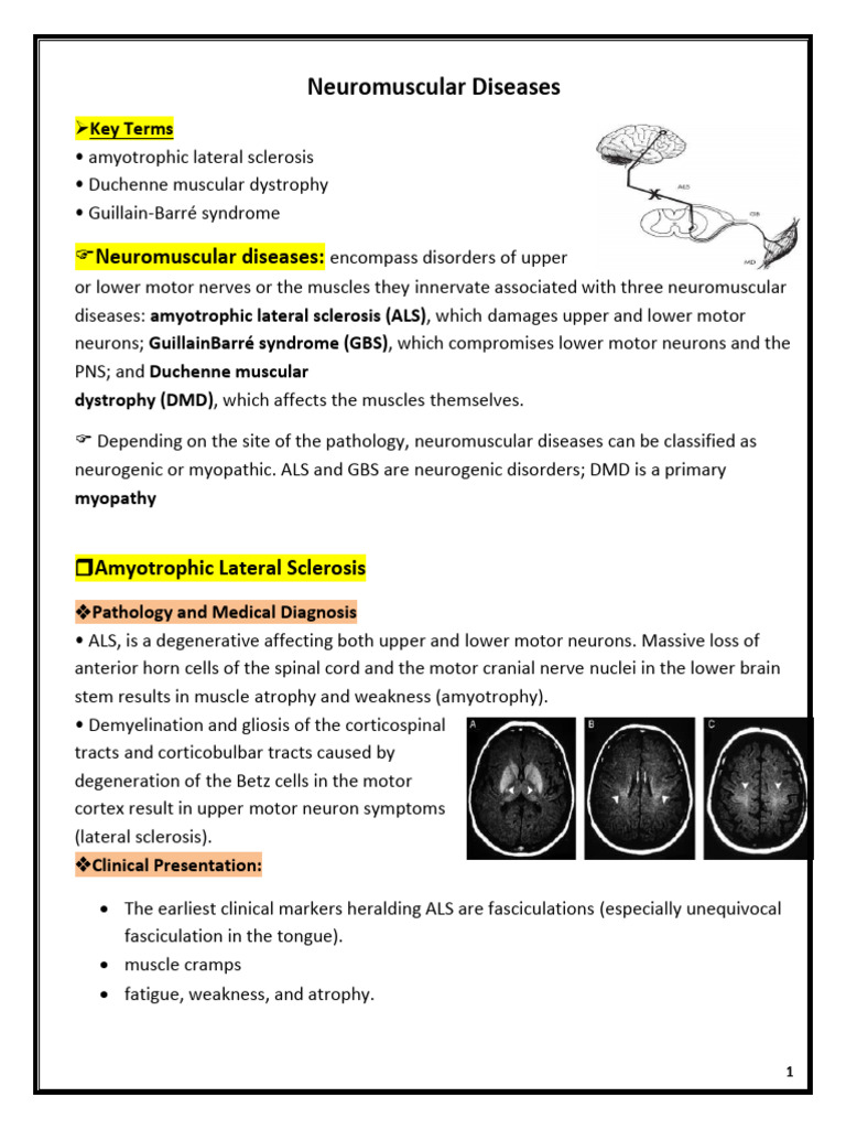 Differential diagnosis lec1,2 | PDF | Skeletal Muscle | Nervous System