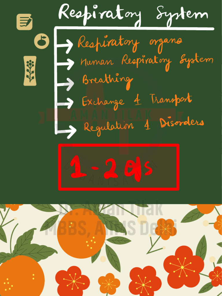 14.Breathing & Exchange of Gases | PDF | Respiratory System ...