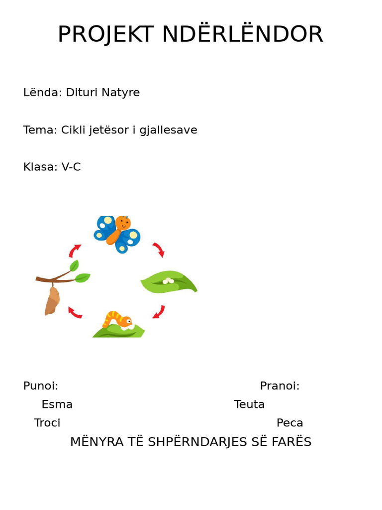 Projekt Nderlendor Dituri | PDF