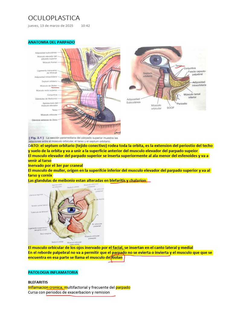 OCULOPLASTIA | PDF | Enfermedades y trastornos | Especialidades Medicas