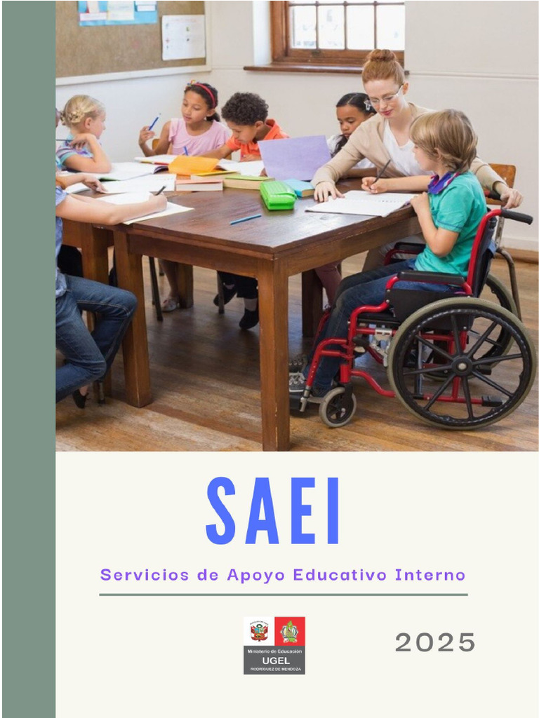 Guía para Implementar SAEI 2025 | PDF | Enseñando | Evaluación