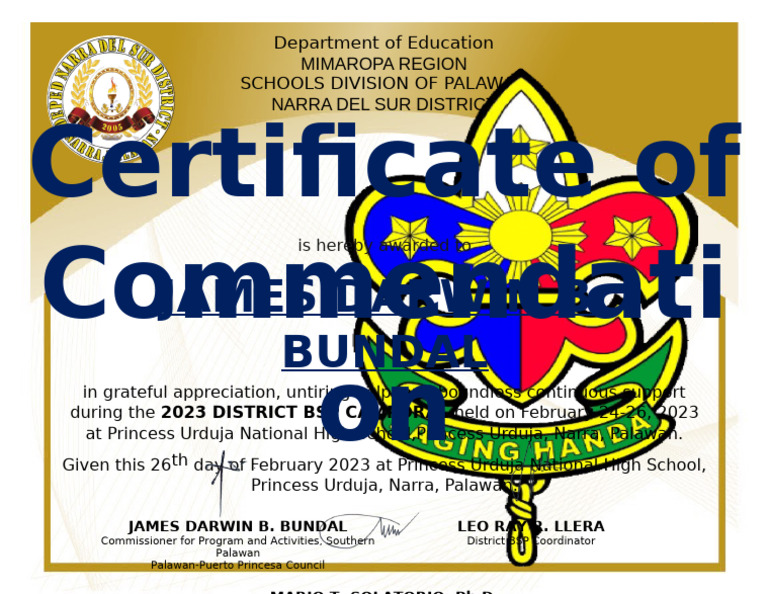 District BSP Cert Commendation | PDF